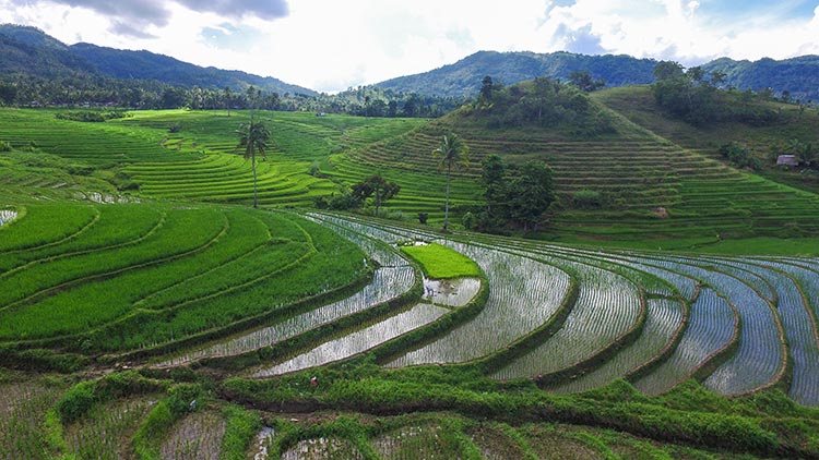 10 reasons for traveling to Bohol island